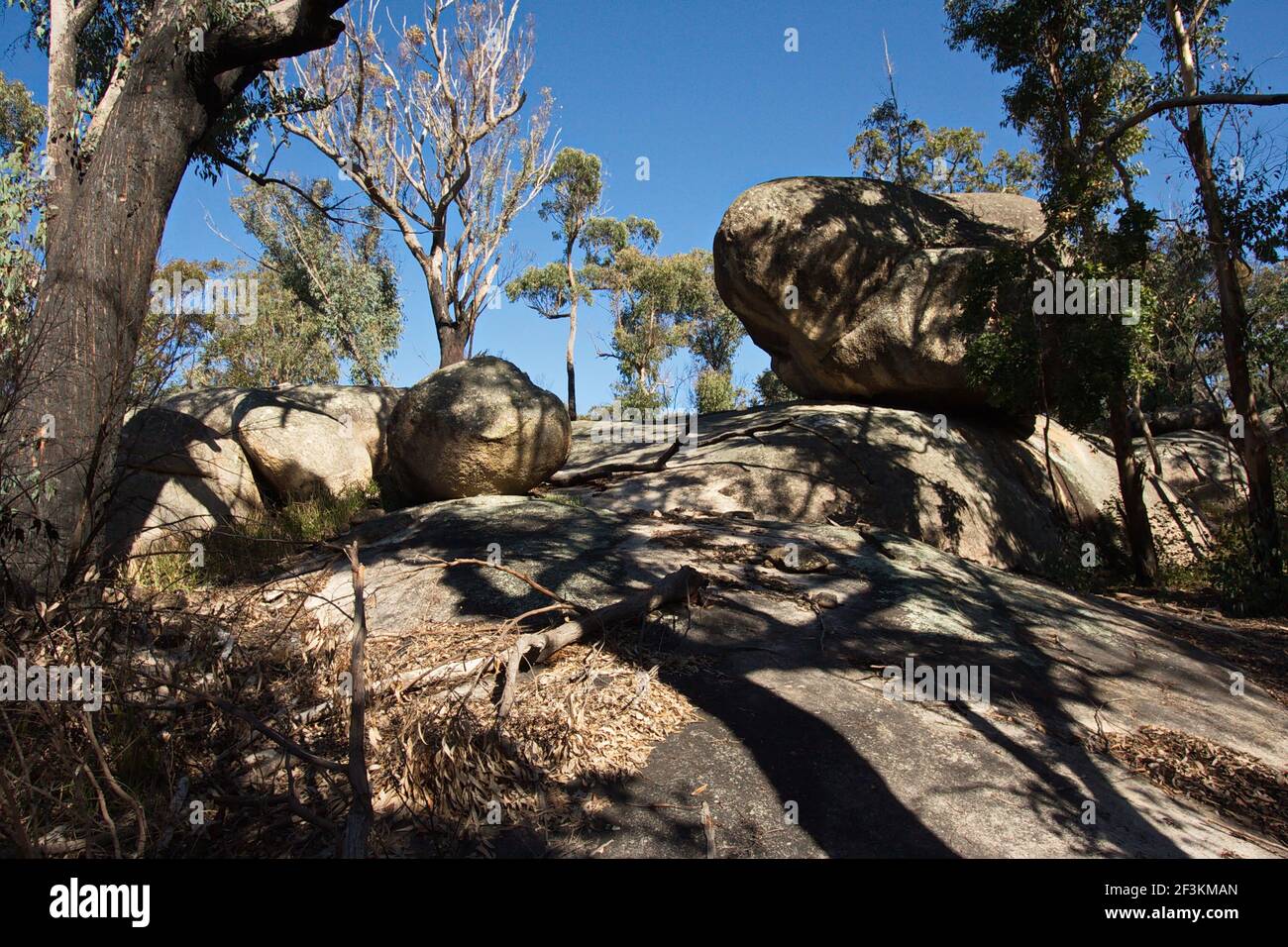 Girraween np hi-res stock photography and images - Alamy