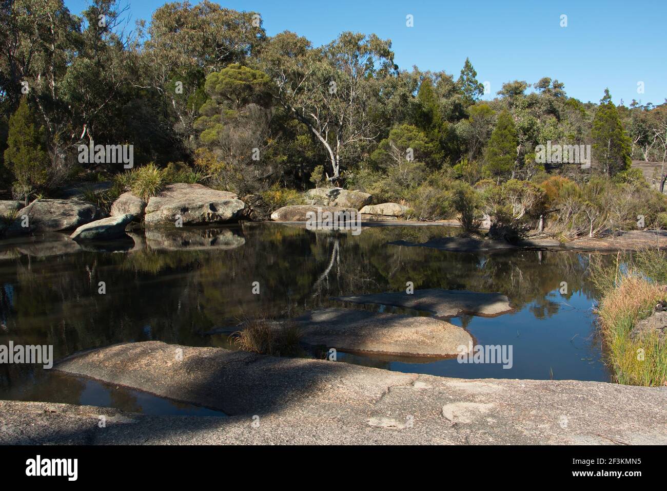 Girraween np hi-res stock photography and images - Alamy