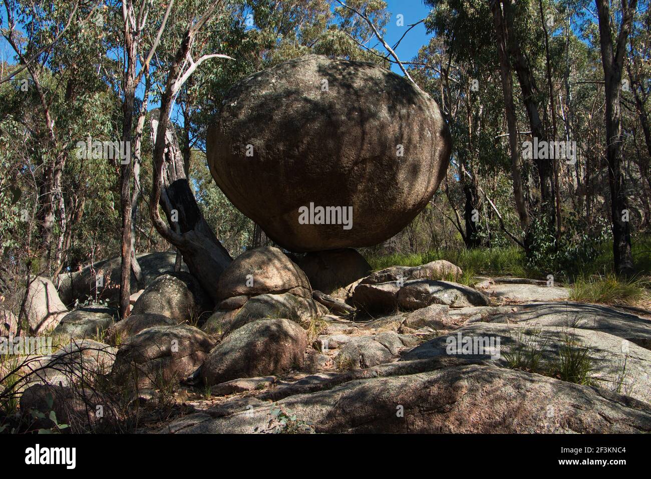 Girraween Np High Resolution Stock Photography and Images - Alamy