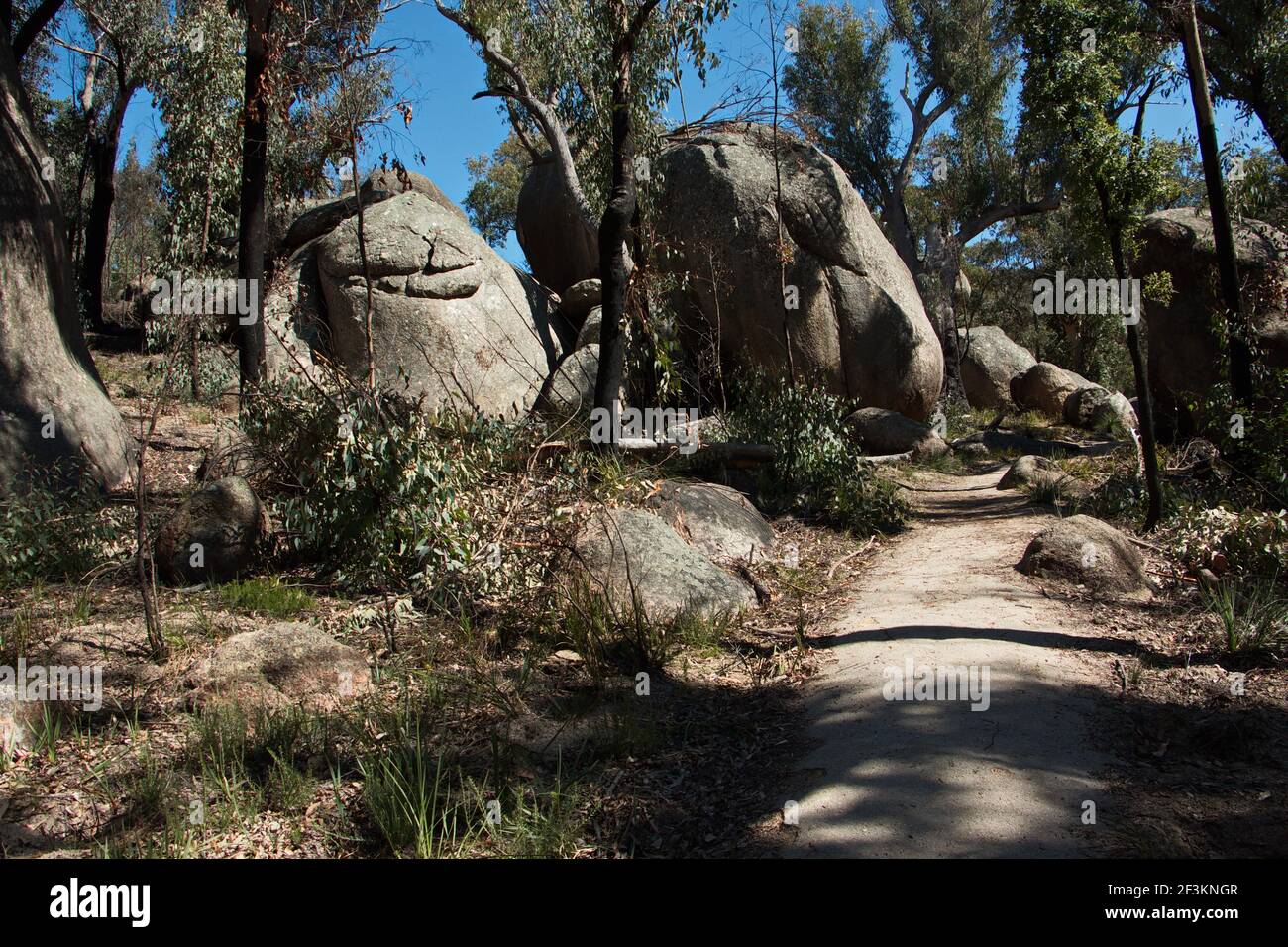 Girraween np hi-res stock photography and images - Alamy