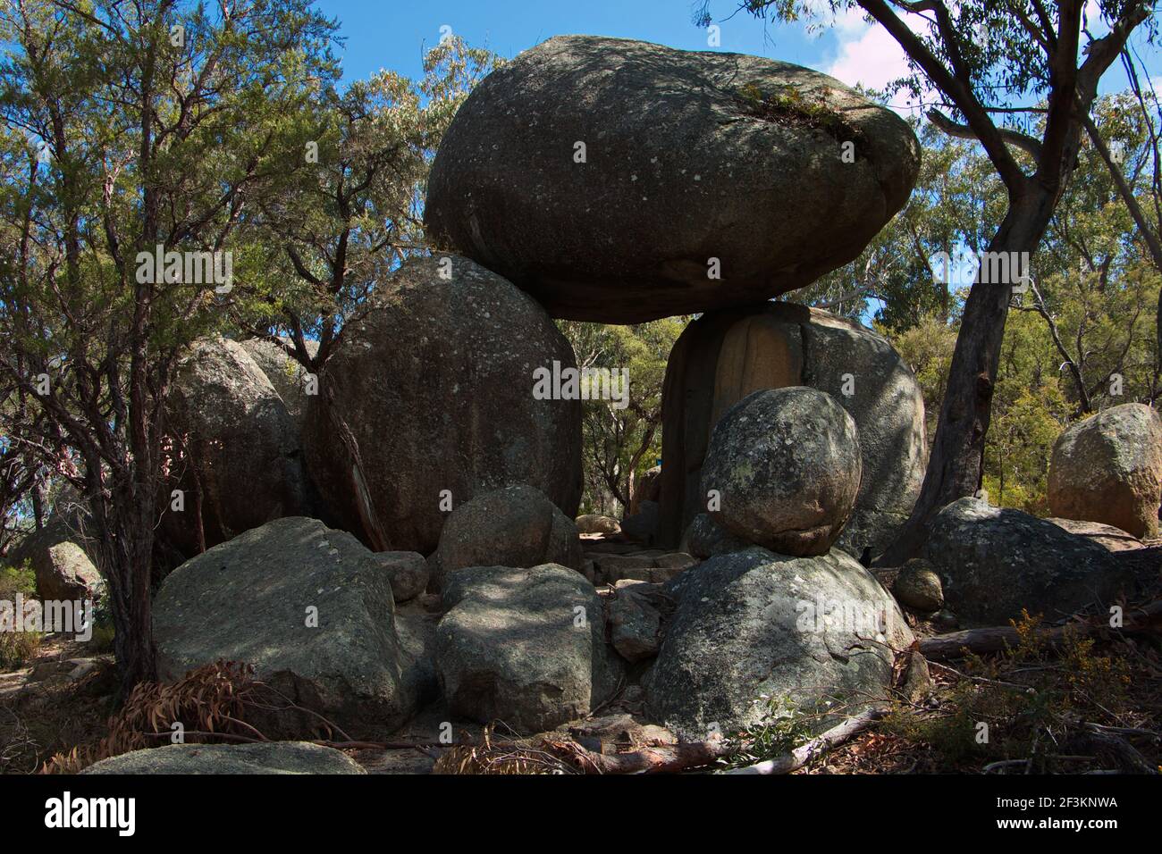 Girraween np hi-res stock photography and images - Alamy