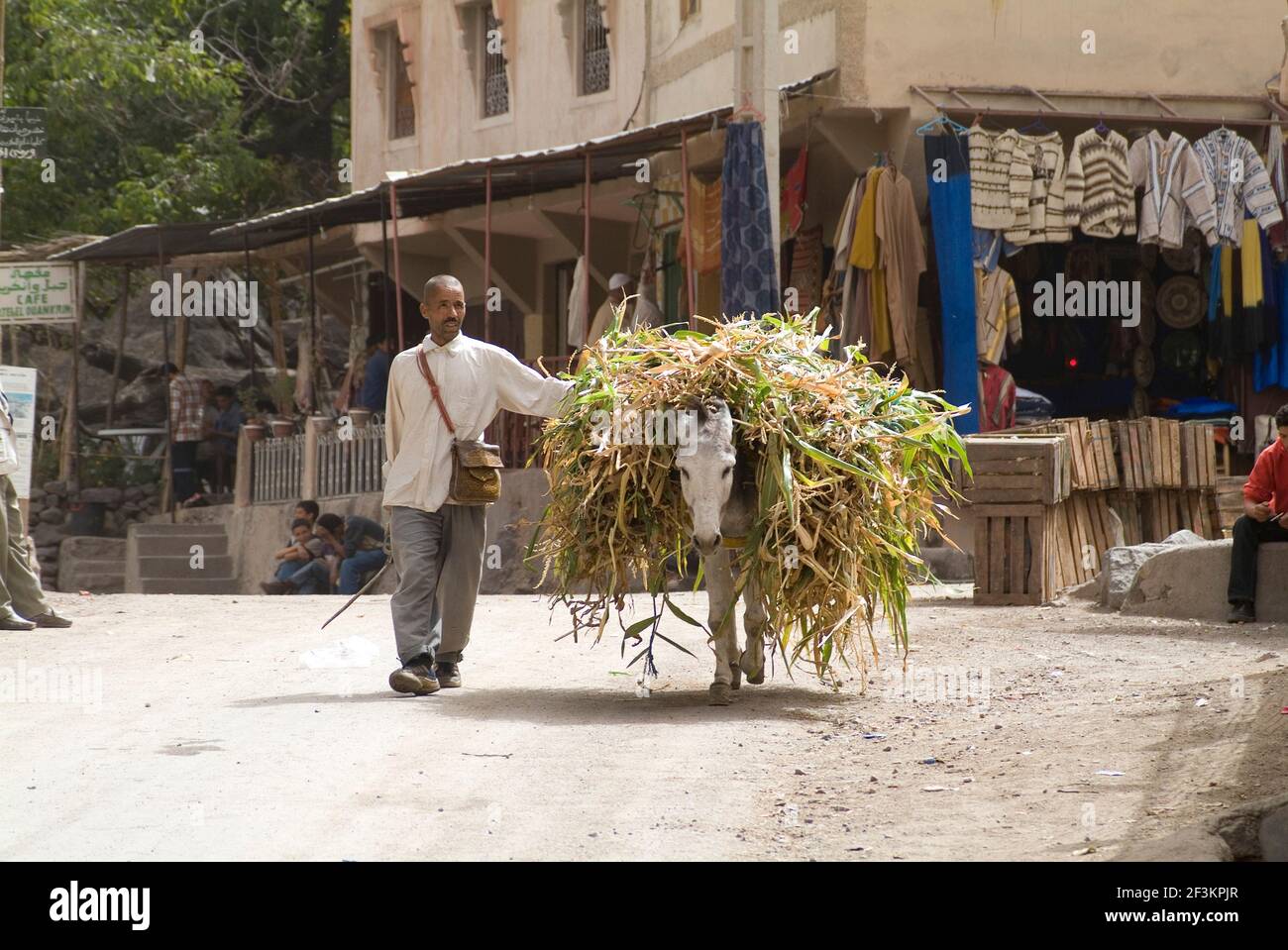 Man carrying donkey hi-res stock photography and images - Alamy