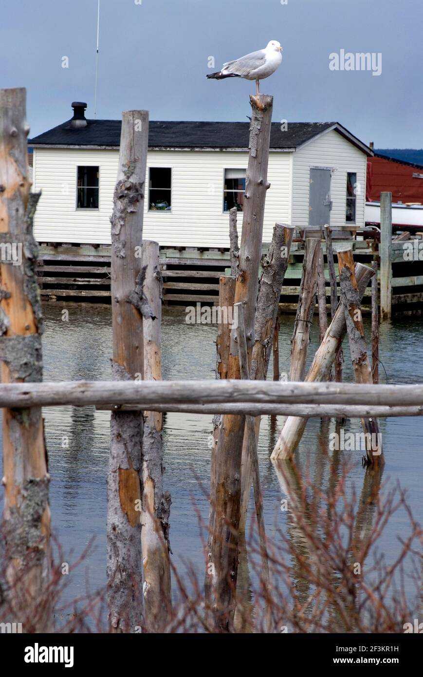 Gabarus fishing village, Nova Scotia, Canada | NONE | Stock Photo - Alamy