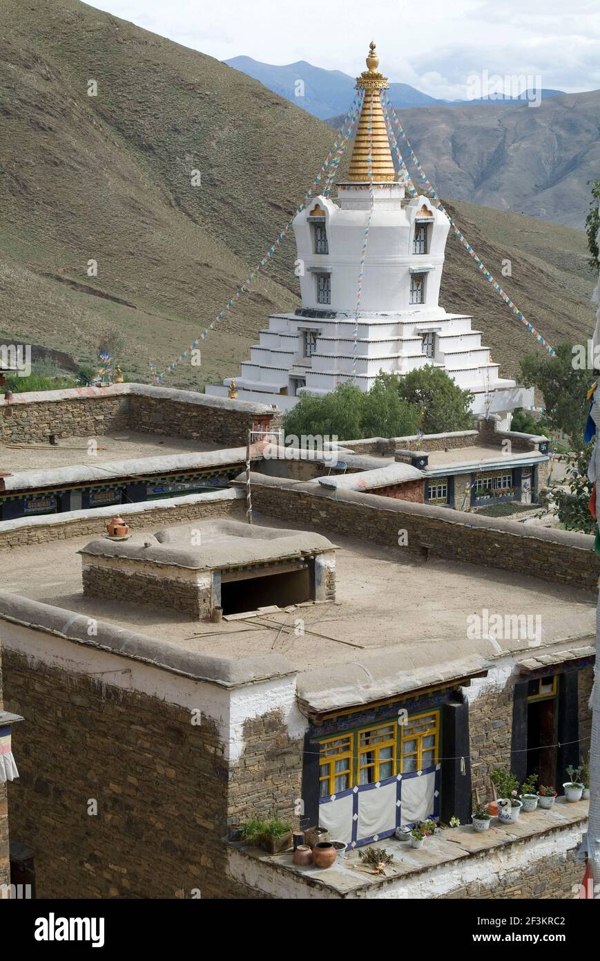 Stupa at Mindroling, one of the six major Buddhist Monasteries of the ...