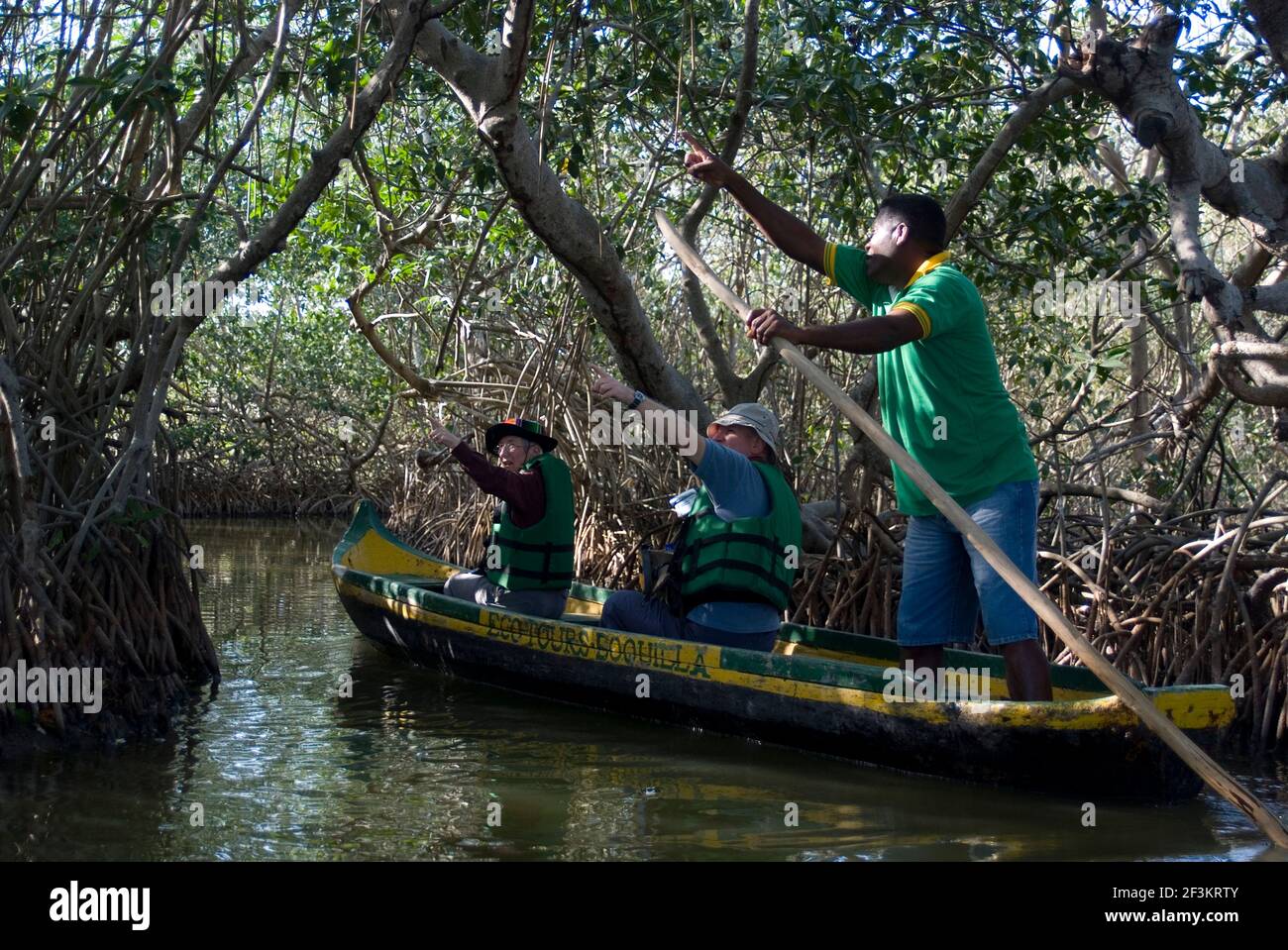 Mangrove swamp colombia hi-res stock photography and images - Alamy