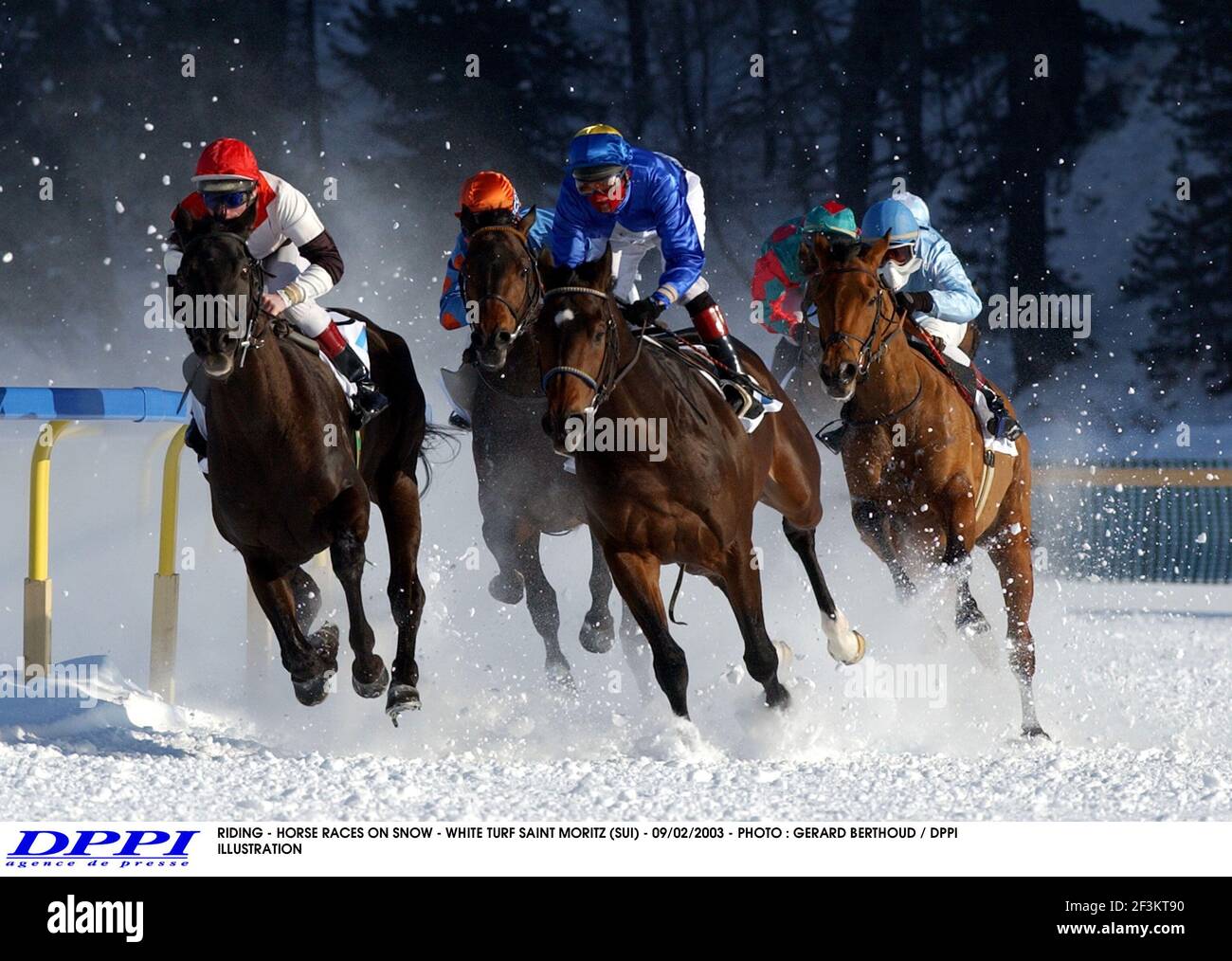 RIDING - HORSE RACES ON SNOW - WHITE TURF SAINT MORITZ (SUI) - 09/02 ...