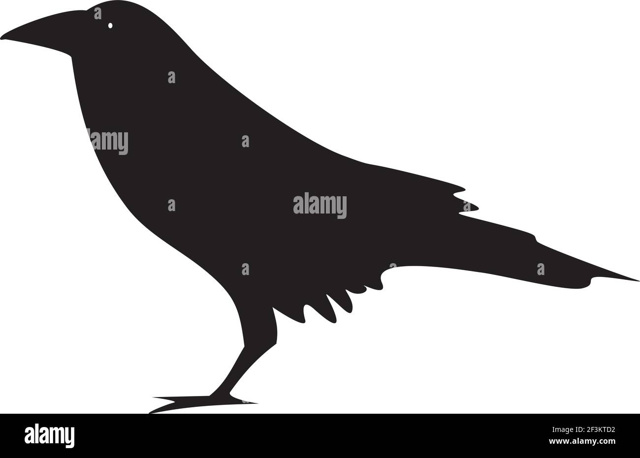 Funny black crow vector illustration Stock Vector Image & Art - Alamy