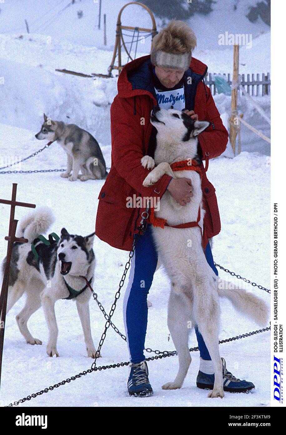 Sui the dog hi-res stock photography and images - Alamy