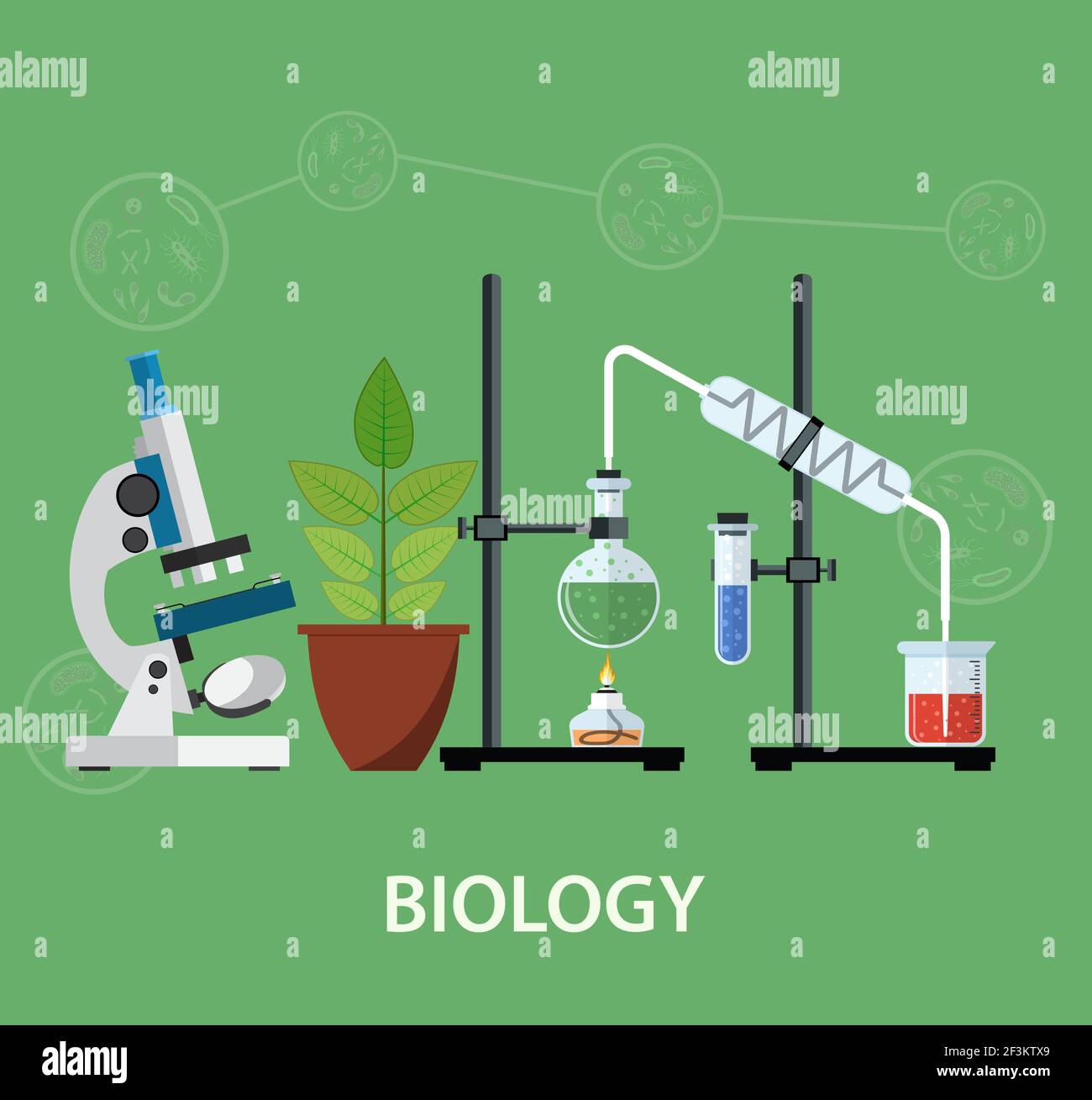 Biology laboratory workspace Stock Vector Image & Art - Alamy