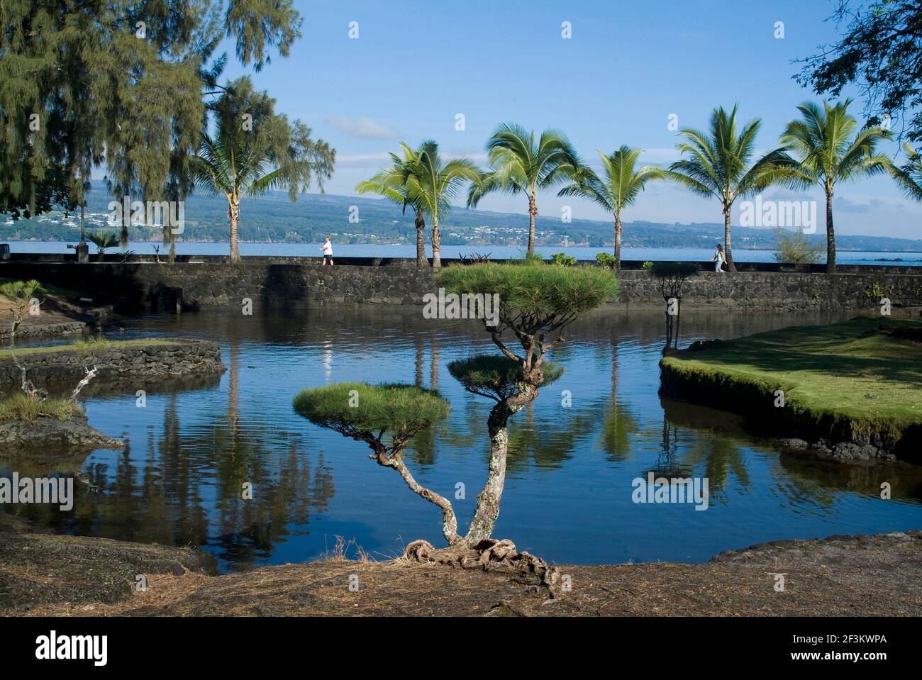 Pond with palm trees, Liluokalani Gdns, Hilo, island of Hawaii (Big ...