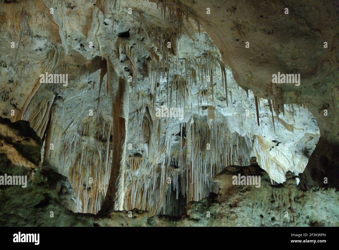 Stalactites, Carlsbad Caverns National Park, New Mexico, USA | NONE ...