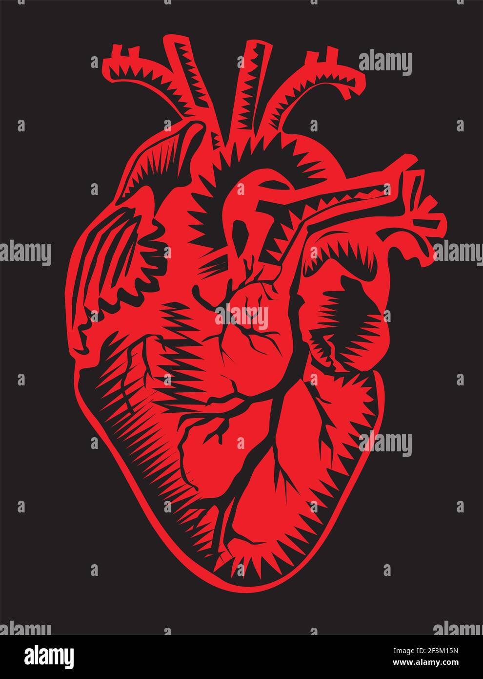 Human heart vector illustration Stock Vector Image & Art - Alamy