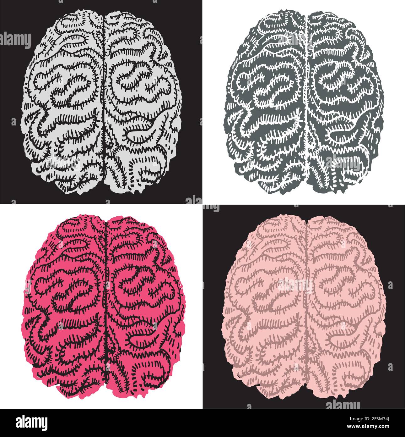 Human brain illustration Stock Vector Images - Alamy
