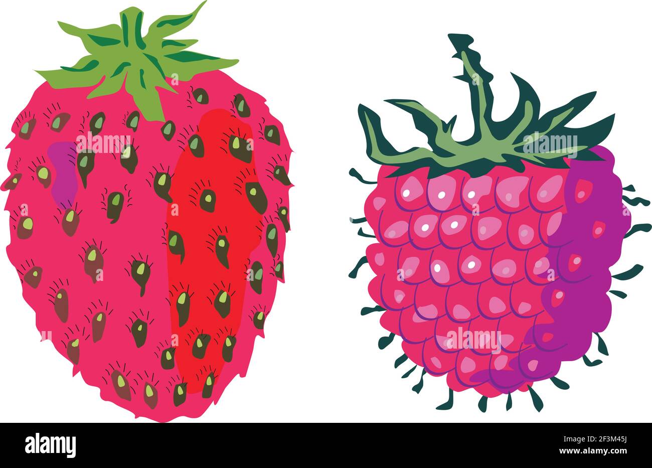 Raspberry image picture Stock Vector Images - Alamy