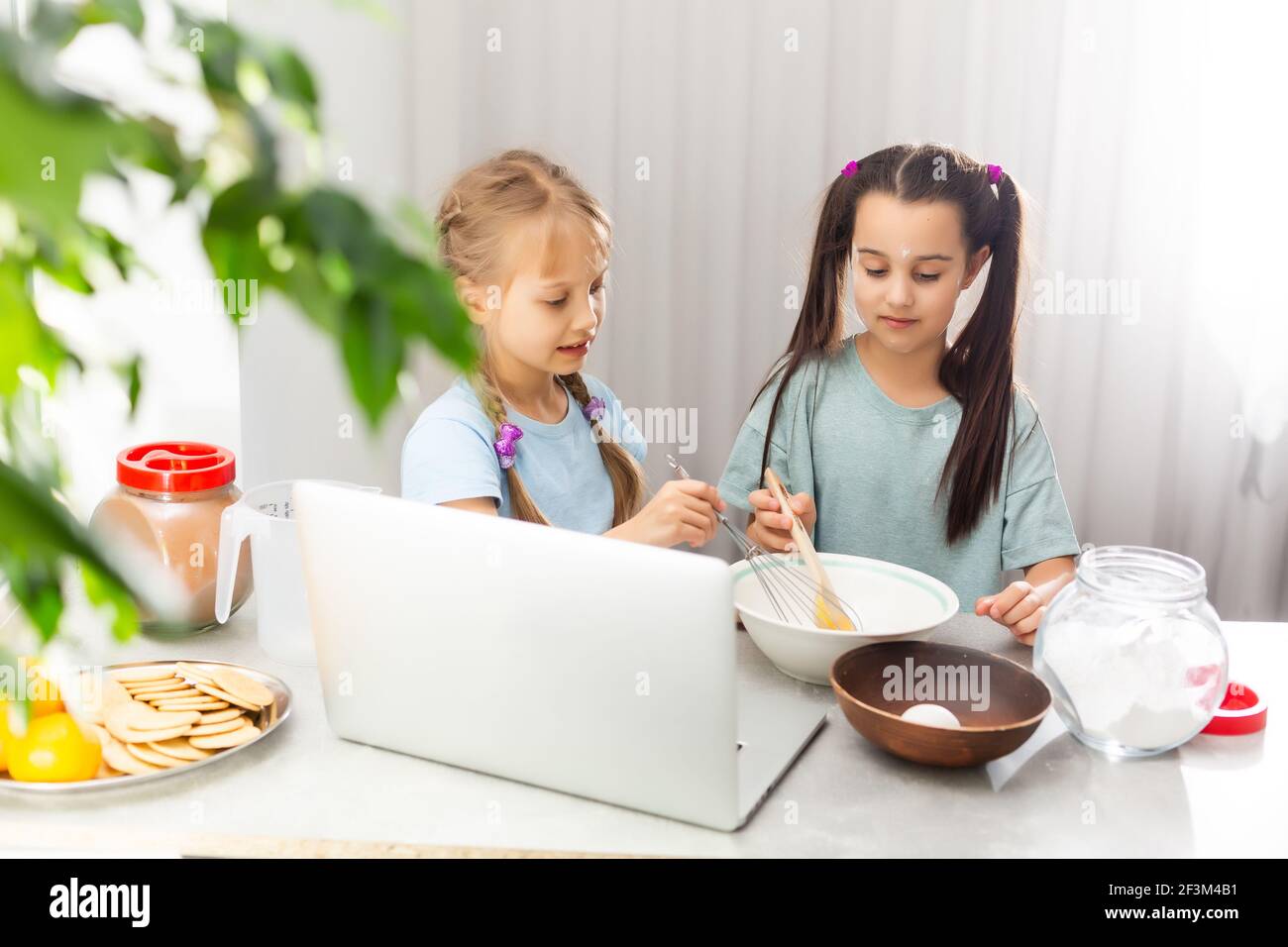 Two girls learning with laptop on desk hi-res stock photography and ...