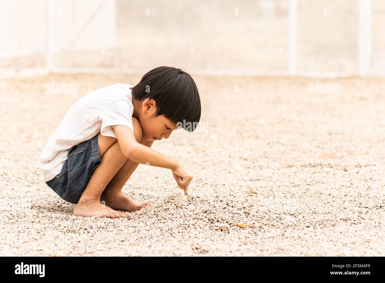 Adorable Asian little boy playing making gathering small stones ...