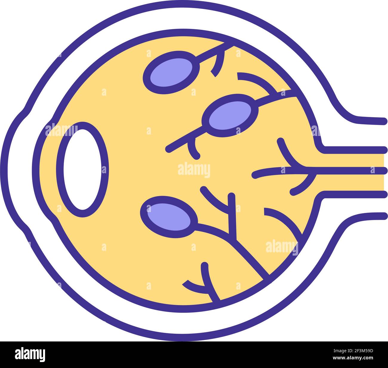 Inside of human eye RGB color icon Stock Vector Image & Art - Alamy