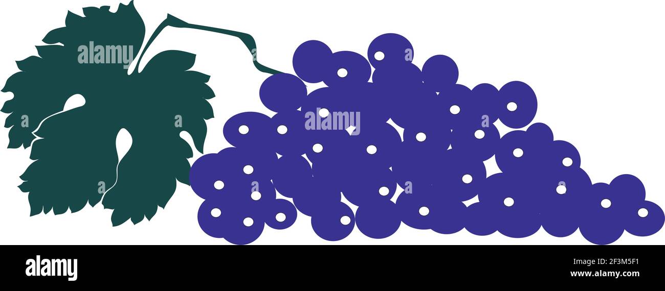 Grape vector illustration Stock Vector Image & Art - Alamy