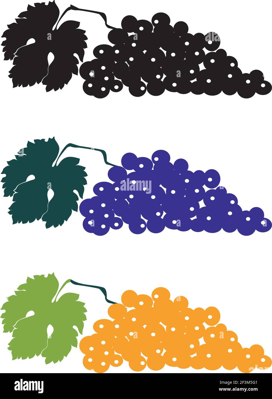 Grape vector illustration Stock Vector Image & Art - Alamy