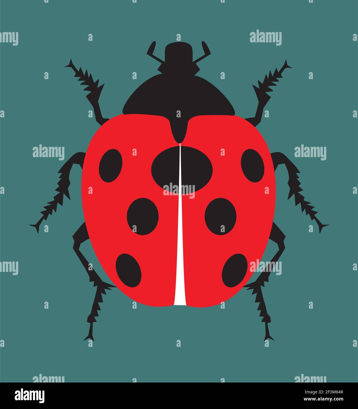 Cute ladybird illustration Stock Vector Image & Art - Alamy