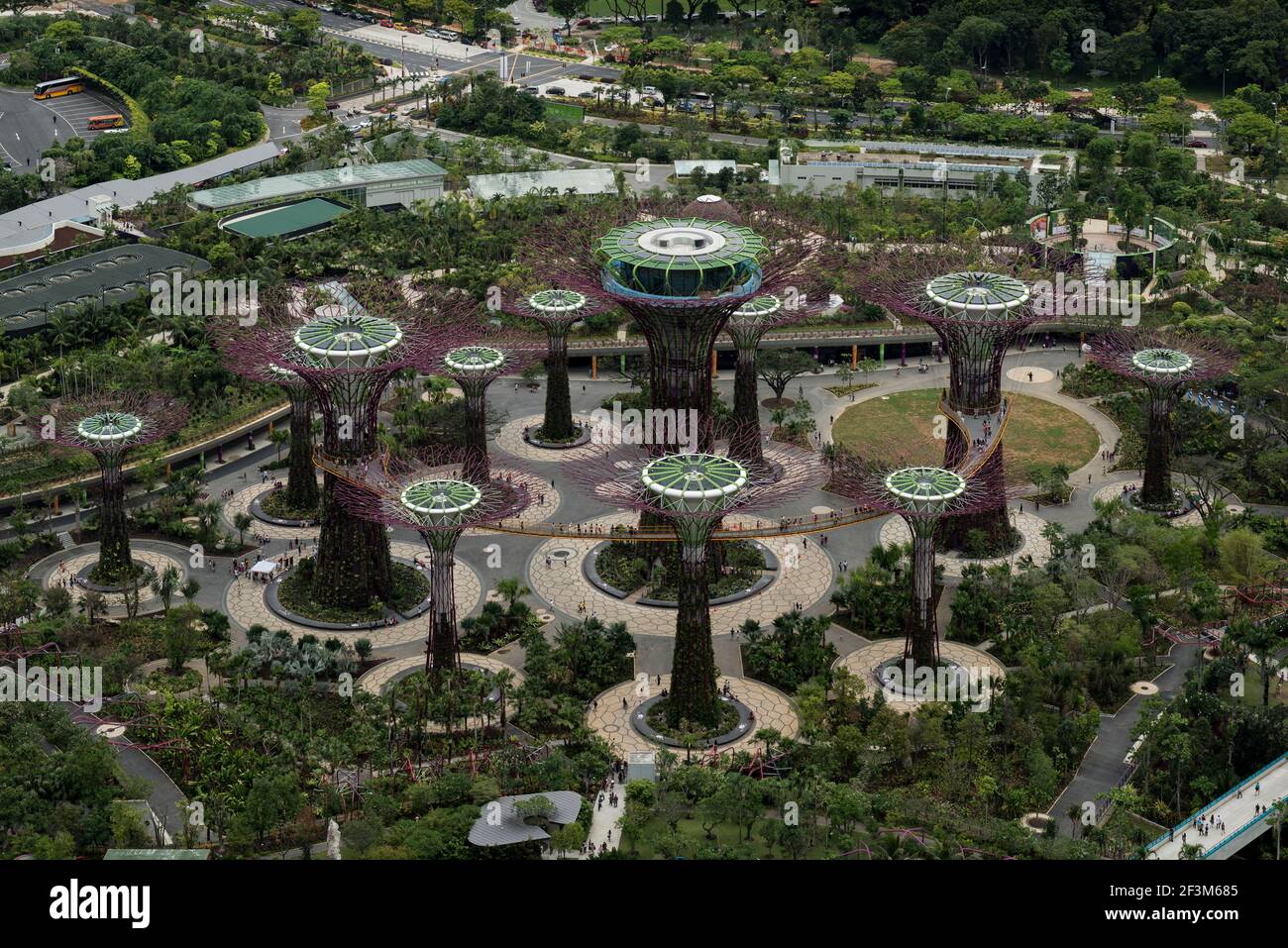 Supertrees Grove at the Gardens by the Bay, Singapore Stock Photo - Alamy