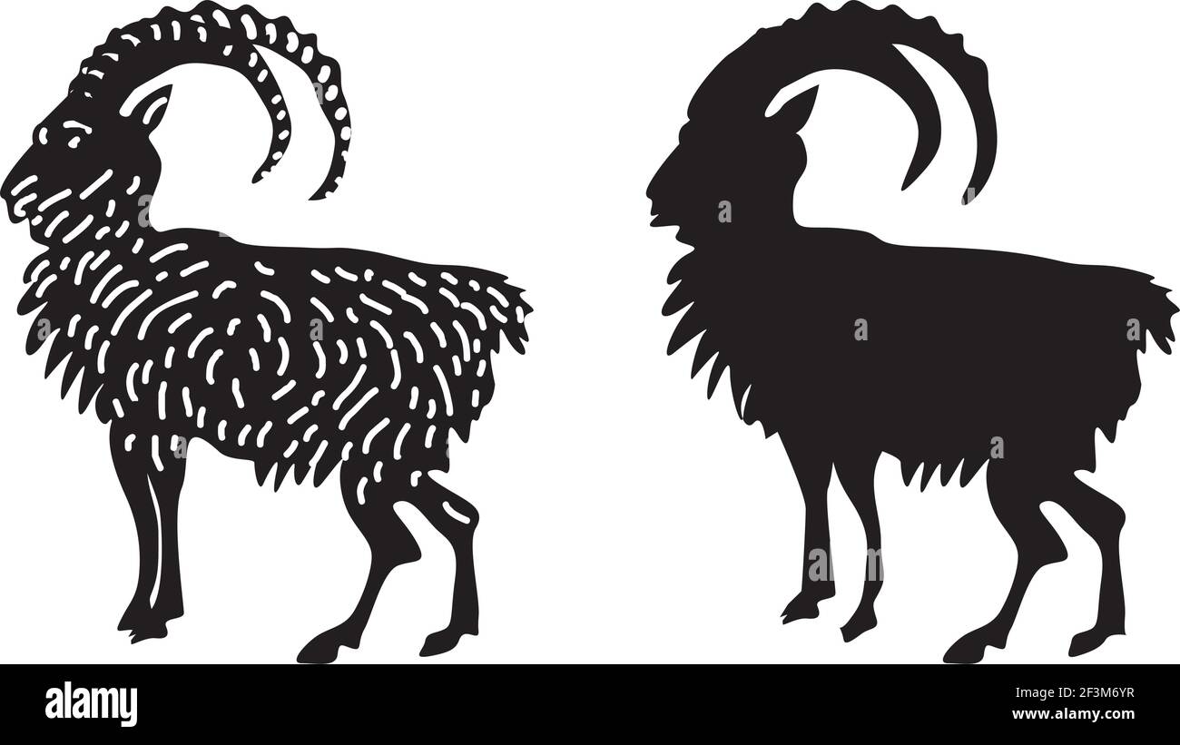Vector illustration of Ibex Stock Vector Image & Art - Alamy