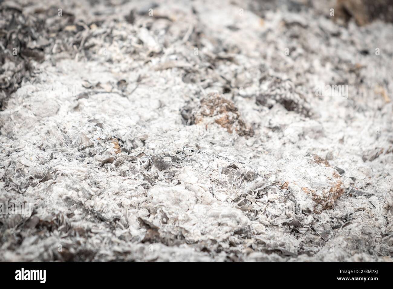 The abstract pile of ashes after the fire went out. Burning wood ash background and texture ...