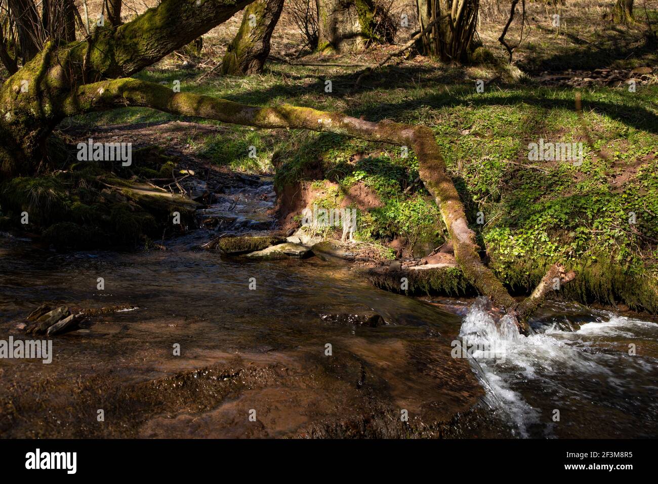 Rushing brook course hi-res stock photography and images - Alamy