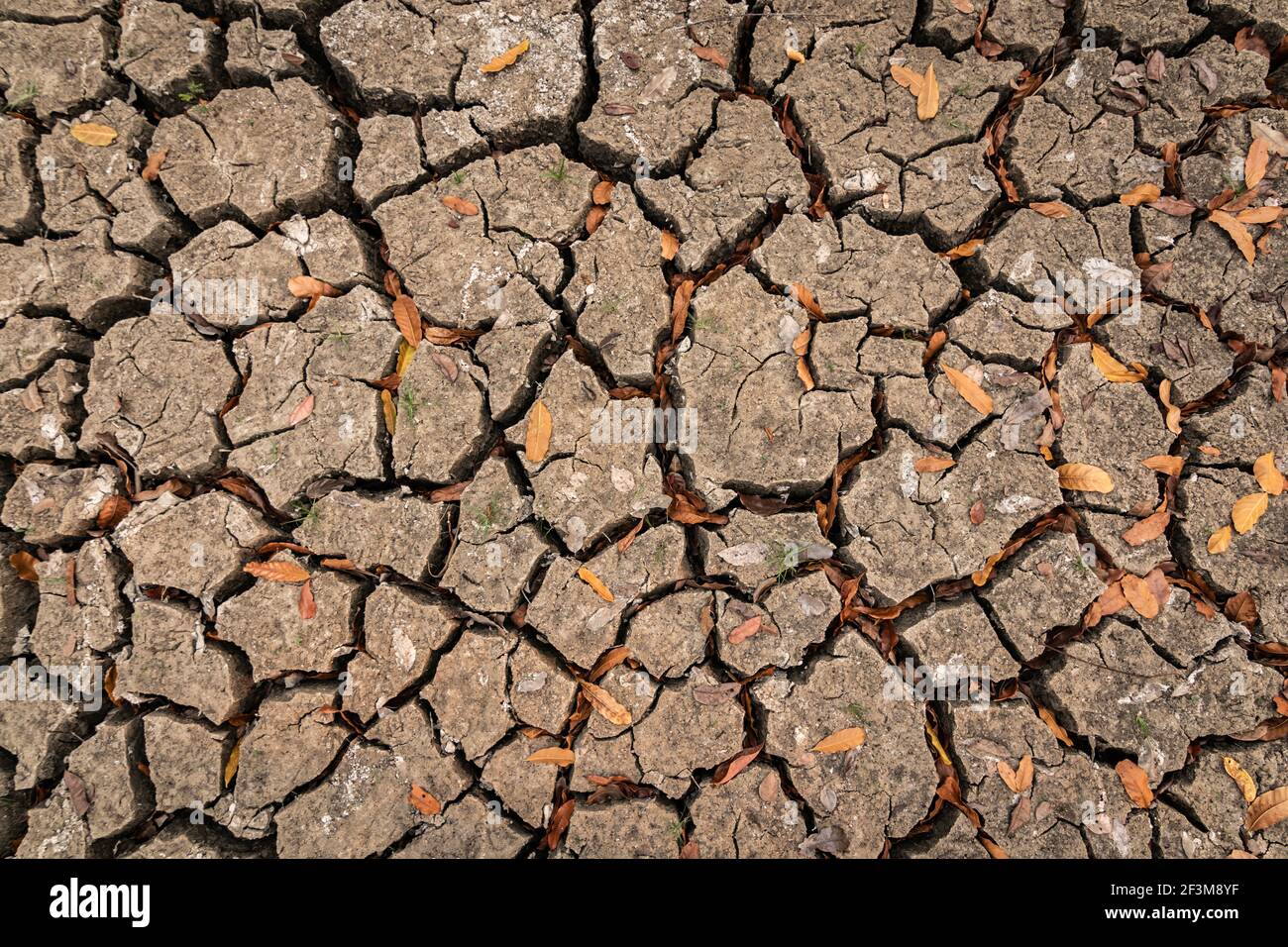 The ground is dried and cracks background. The soil dry land cracked ...