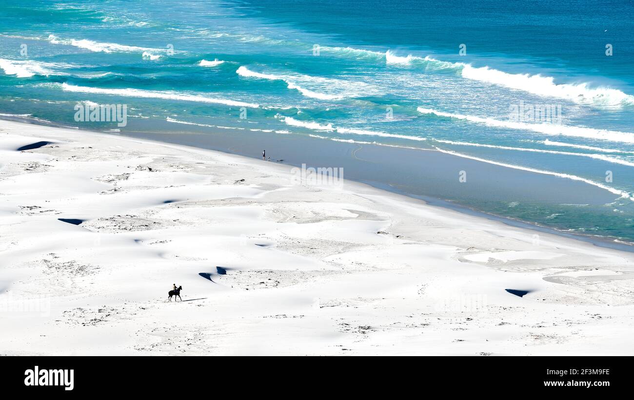 Cape riding horse hi-res stock photography and images - Alamy