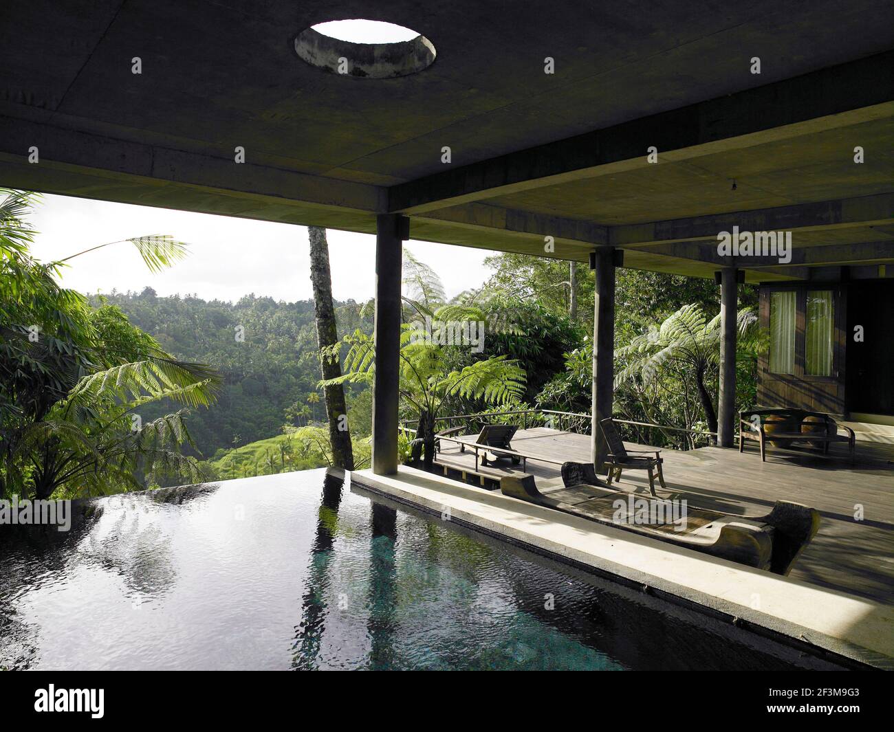 Luxury infinity pool on terrace with woodland Stock Photo - Alamy