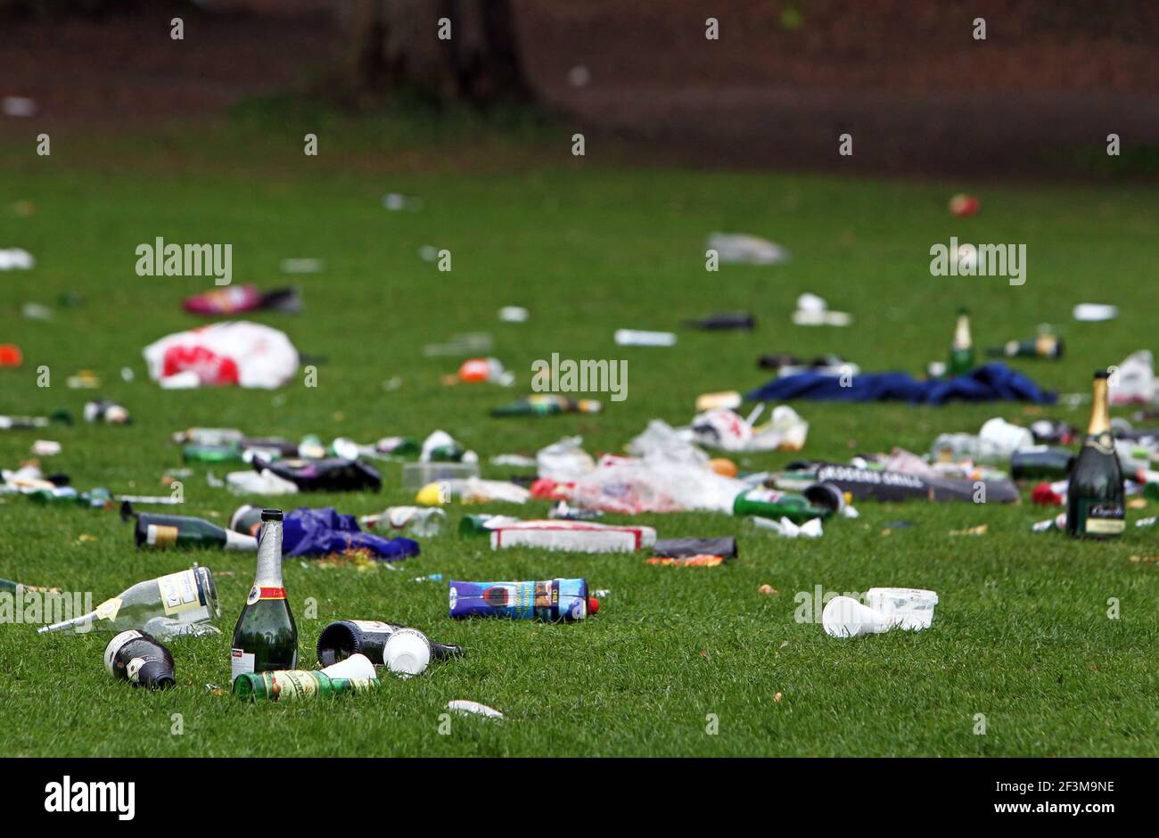 Littering in a park after some kind of celebration Stock Photo - Alamy