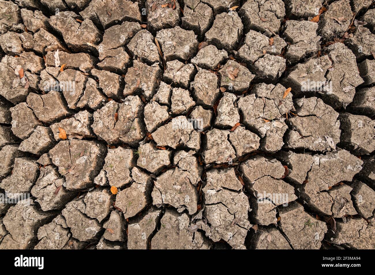 The ground is dried and cracks background. The soil dry land cracked ...