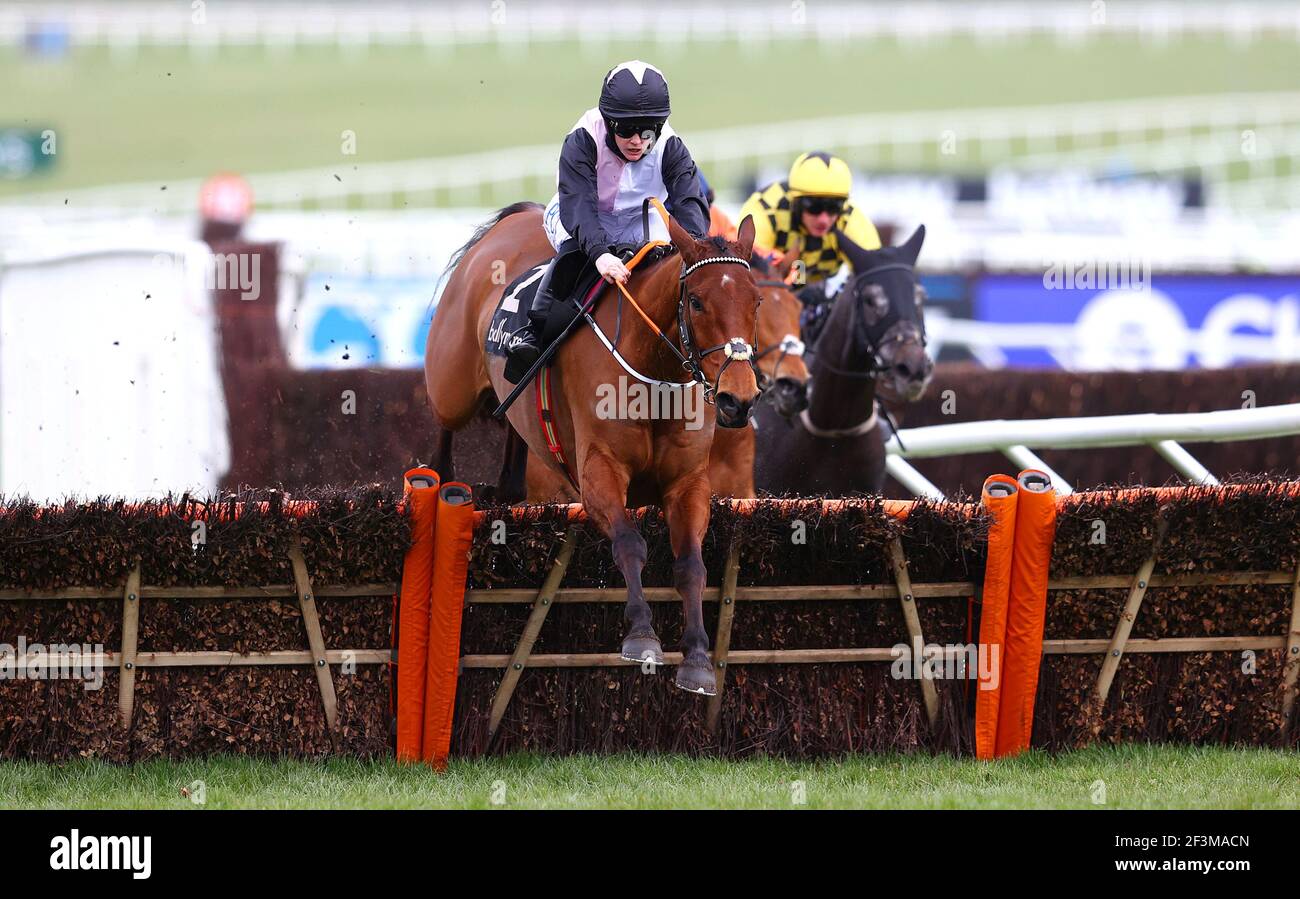 Bob olinger cheltenham 2021 hi-res stock photography and images - Alamy