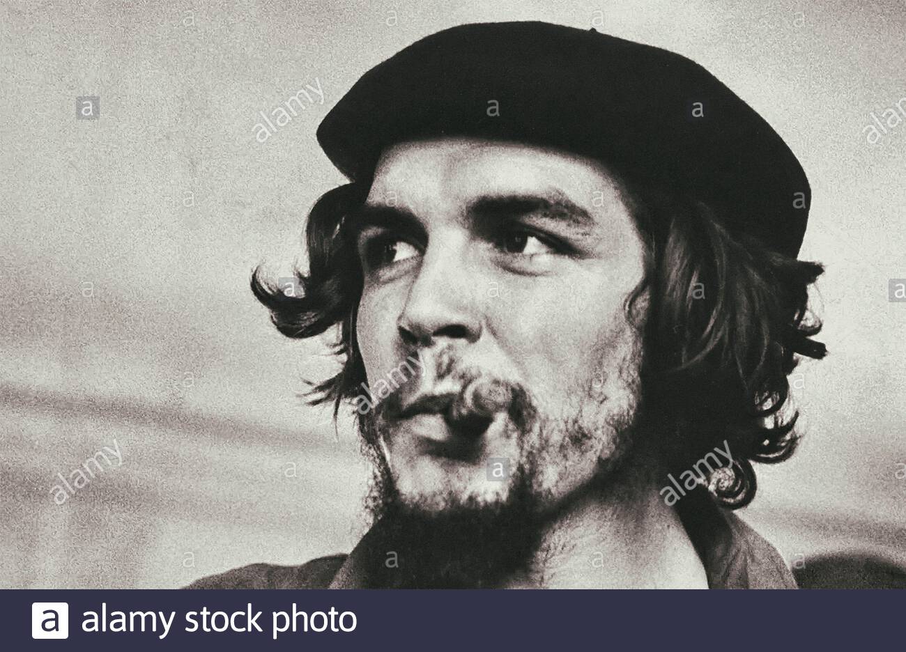 Guerrilla High Resolution Stock Photography and Images - Alamy