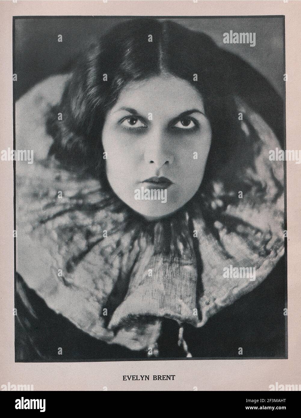 Evelyn Brent (born Mary Elizabeth Riggs, 1895 – 1975) was an American ...