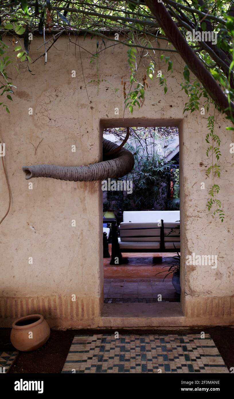 Elephant trunk coming out of doorway in grounds of Moroccan home Stock ...