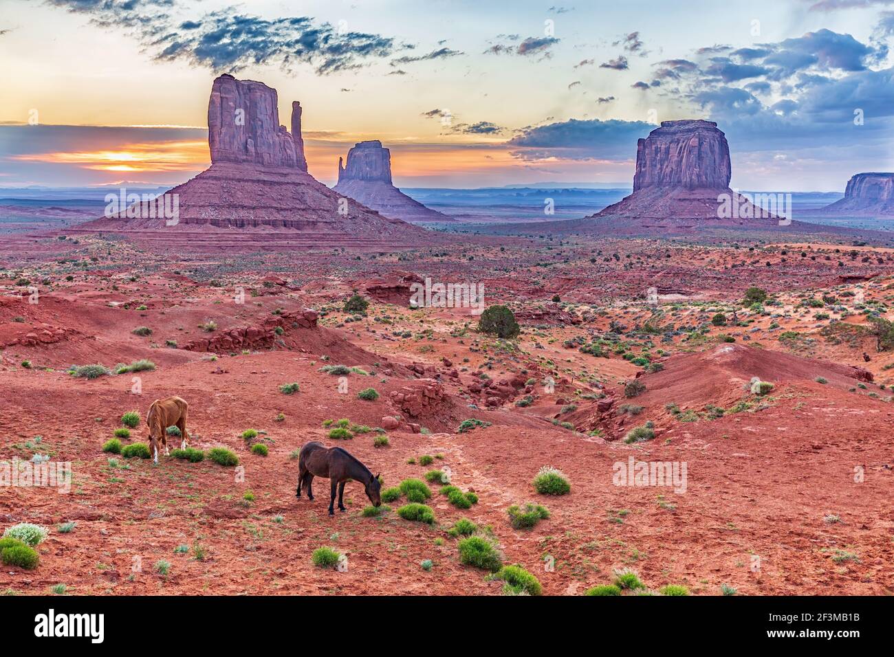 Horses in Monument Valley Stock Photo - Alamy