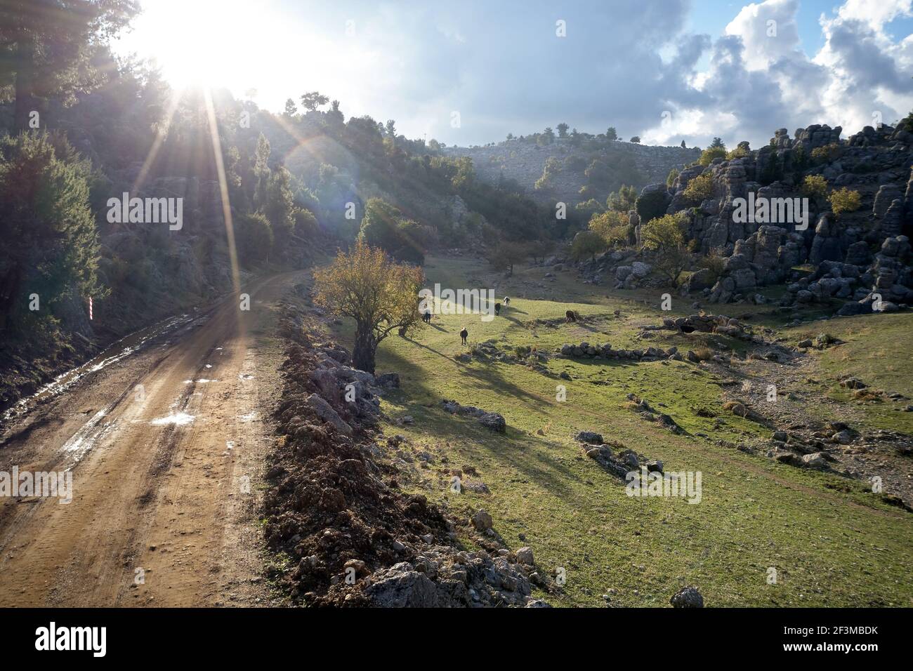 Sunlit mediterranean landscape hi-res stock photography and images - Alamy