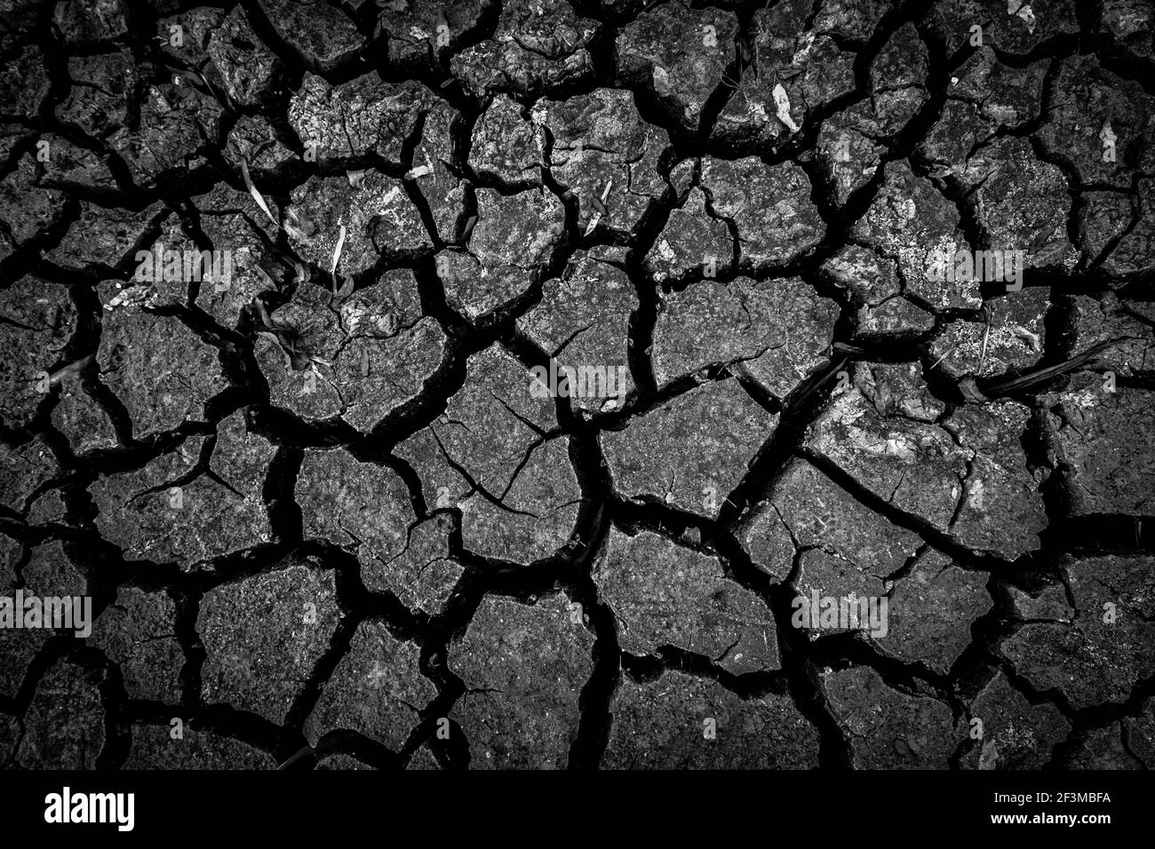 Surface soil Black and White Stock Photos & Images - Alamy