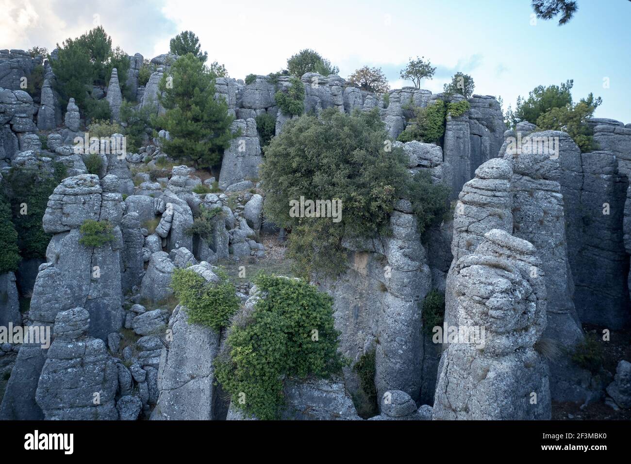 Gray rocky columns and green trees Stock Photo - Alamy