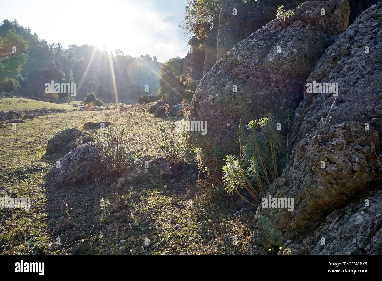 Sunlit mountain valley landscape and rock formations Stock Photo - Alamy