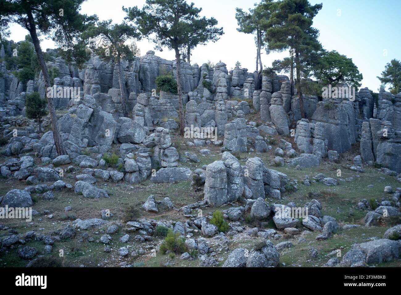 Rock formations and pine trees Stock Photo - Alamy