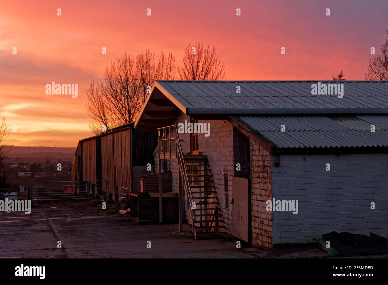 Bath soft cheese farm sunset Stock Photo - Alamy