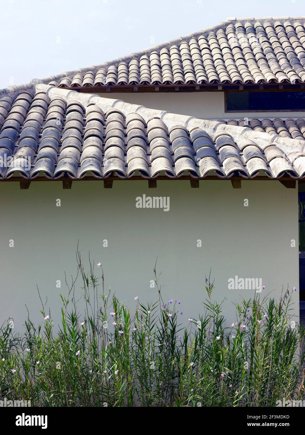 Tiled roof detail with foliage of residential house, Brazil Stock Photo ...