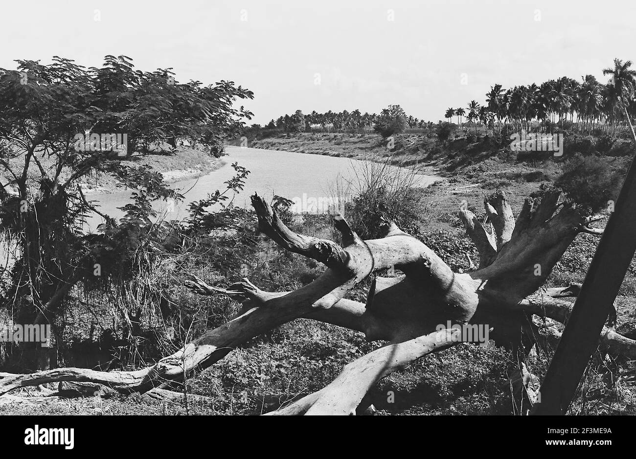 Hurricane Flora damage, central Cuba, Cuba, 1963. From the Deena ...