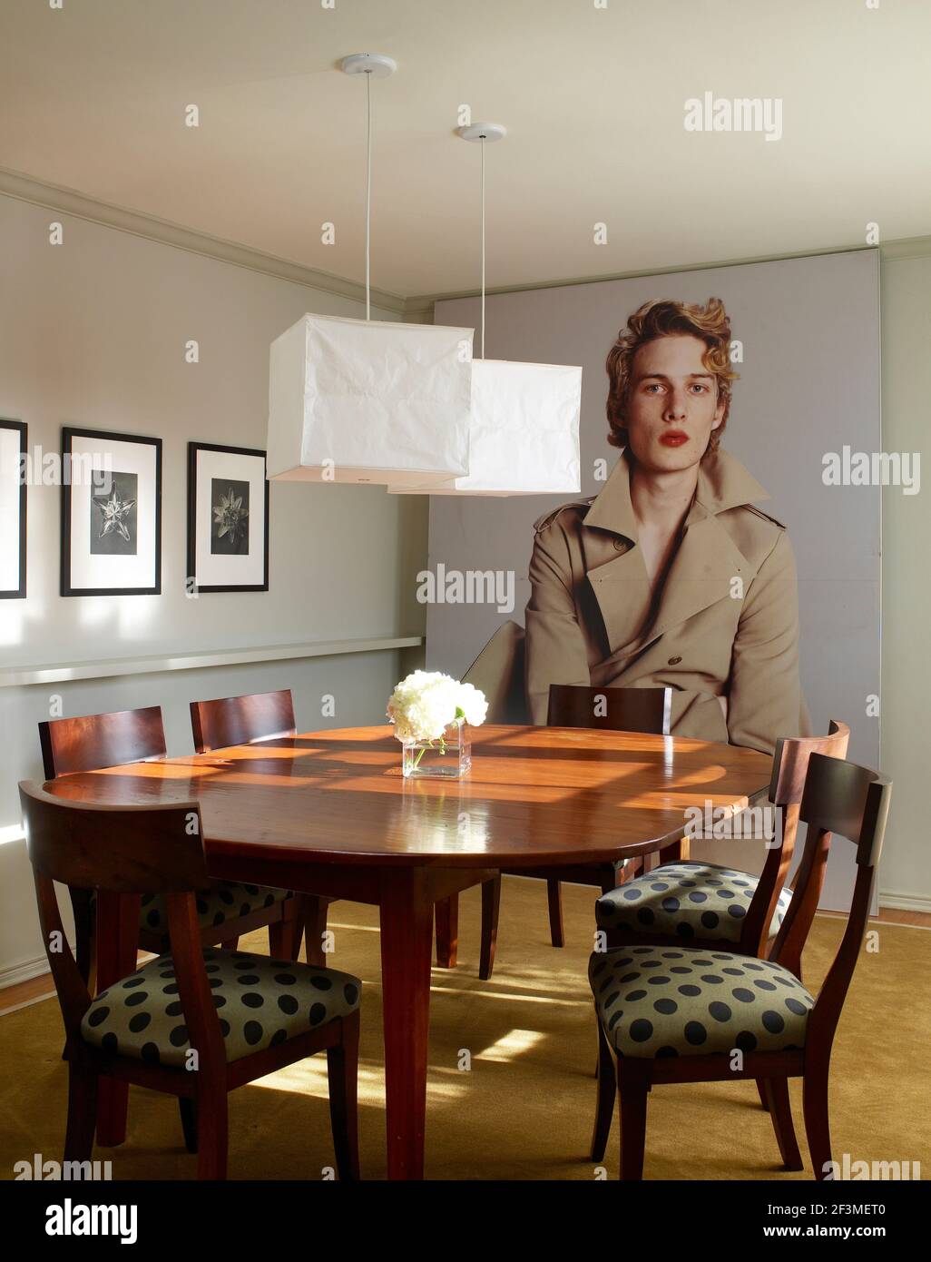 Kollar hi-res stock photography and images - Alamy