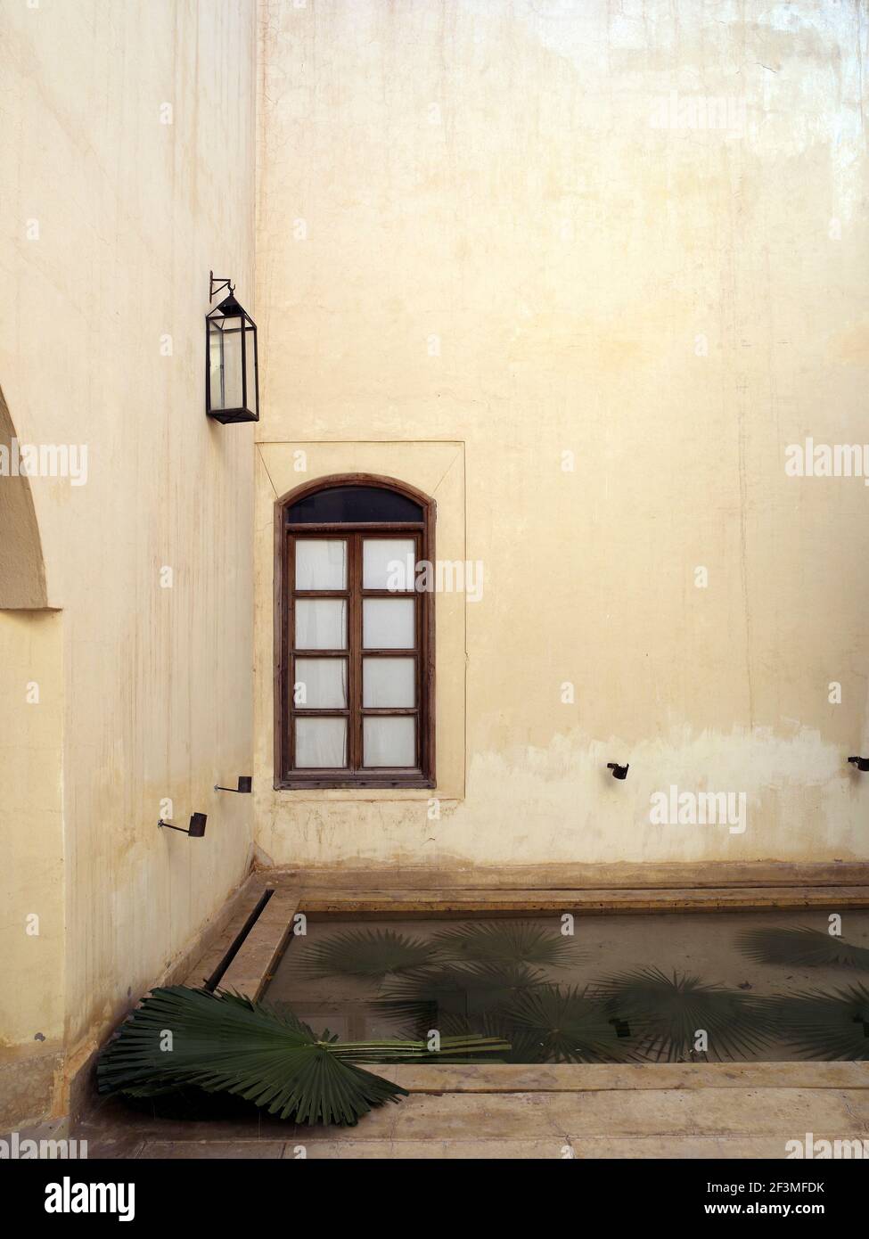 Pond with palm fronds in courtyard surrounded by sand coloured walls in ...
