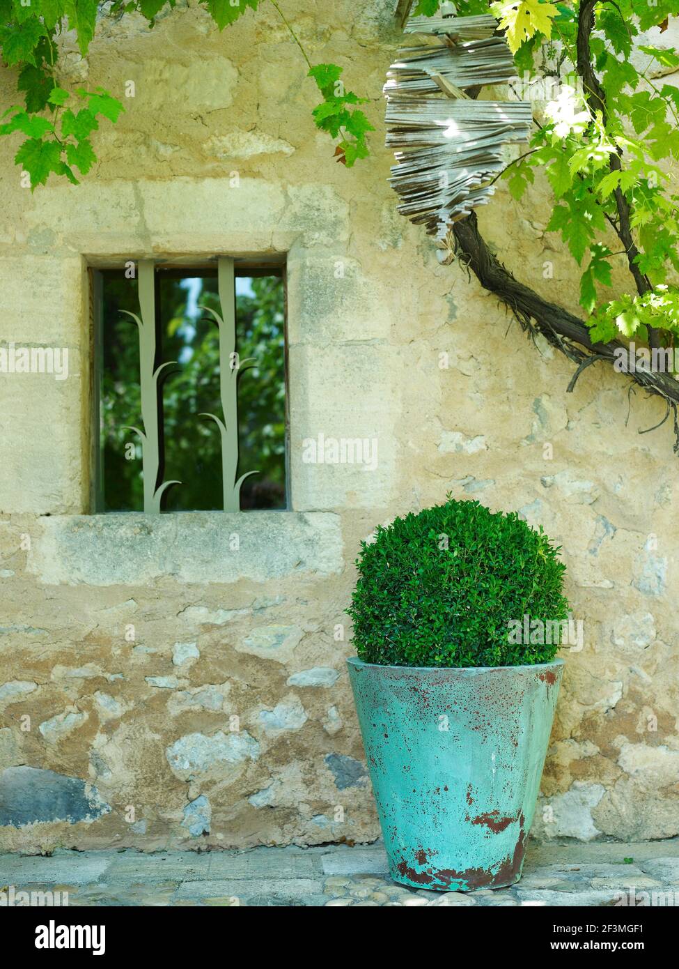 Pot plant at window of barn conversion, France Stock Photo - Alamy