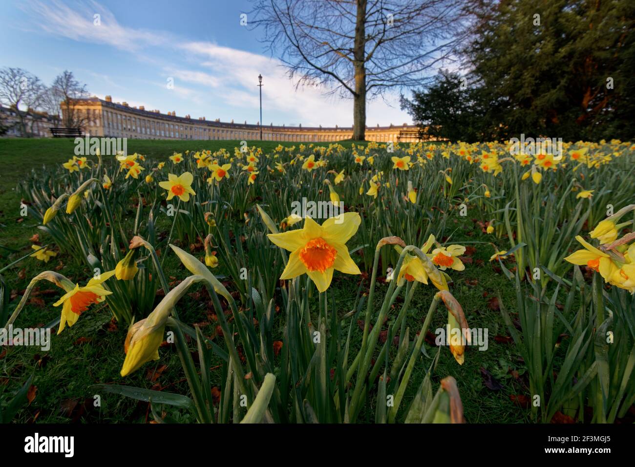 Spring in Bath Stock Photo - Alamy